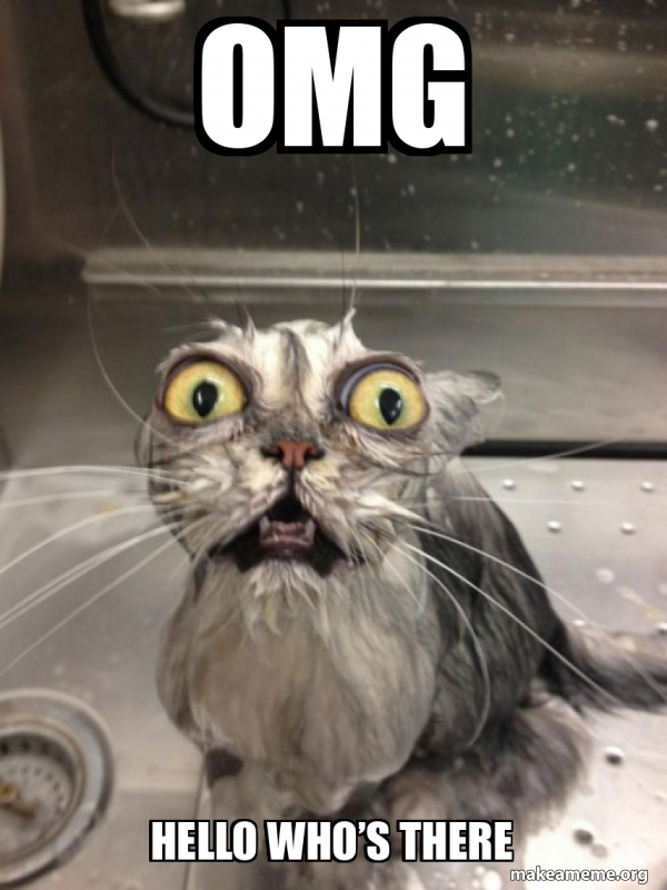 Omg Hello who’s there - Cat bath Meme Generator