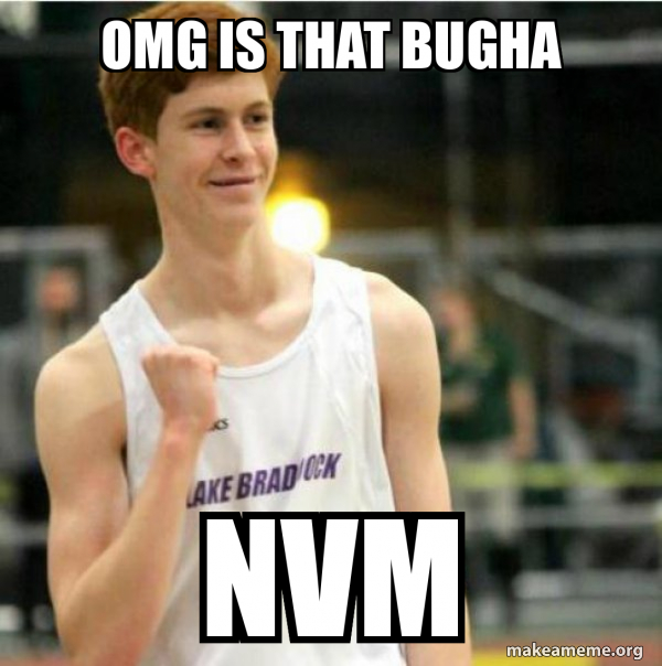 OMG IS THAT BUGHA nvm - Success Ginger Meme Generator