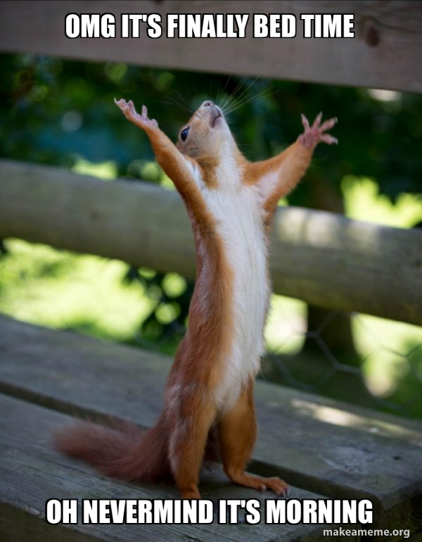 Omg it's finally bed time oh nevermind it's morning - Happy Squirrel ...