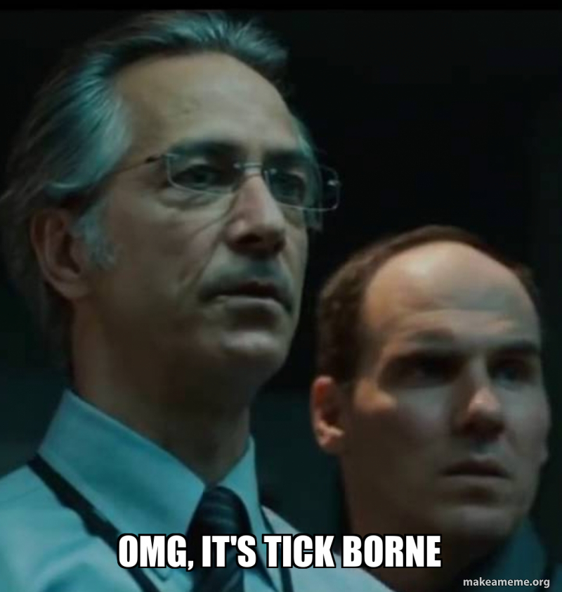 OMg, it's tick borne Meme Generator