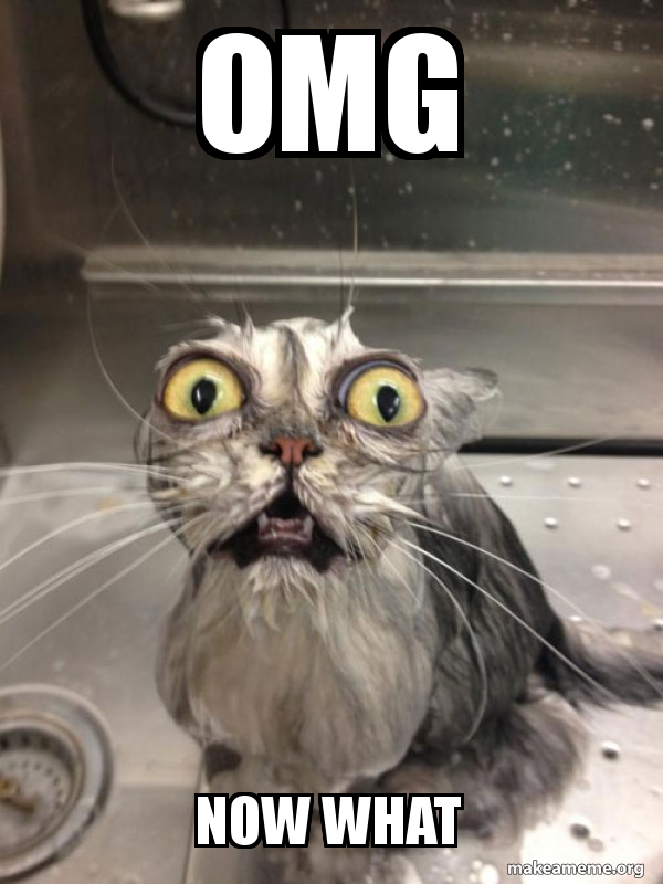 Omg Wut Memes I'm Ok Now, Just A OMG WHAT IS THIS LIFE Meltdown
