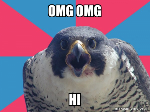Omg Omg Hi Millennial Falcon Make A Meme