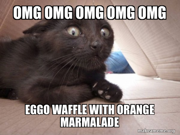 omg omg omg omg omg eggo waffle with orange marmalade - Schitzo Cat ...