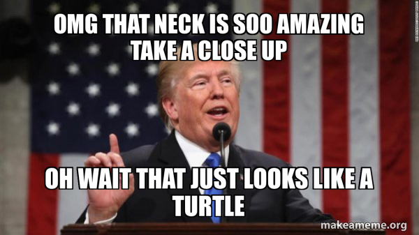 OMG THAT NECK IS SOO AMAZING TAKE A CLOSE UP OH wait that just looks ...