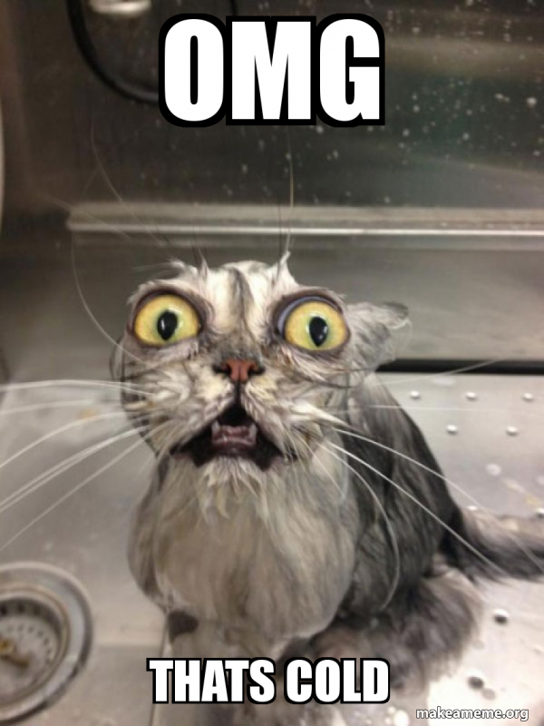 omg thats cold - Cat bath Meme Generator
