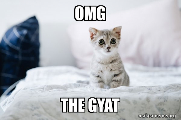 OMG The Gyat - Cute Kitten Meme Generator