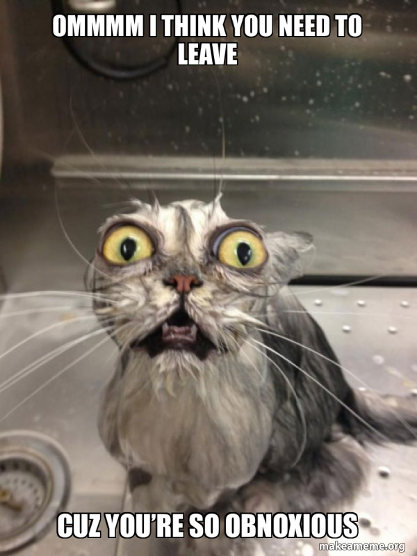 Ommmm I think you need to leave Cuz you’re so obnoxious - Cat bath Meme ...