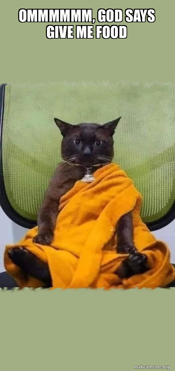 OMMMMMM, God says give me food - Zen Cat Meme Generator