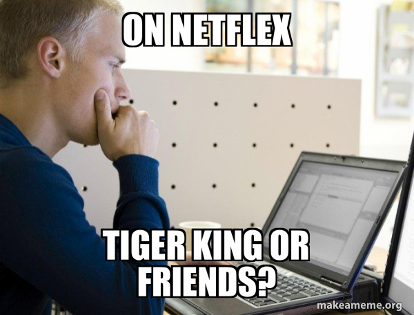 on netflex Tiger King or Friends? - Programmer Meme Generator