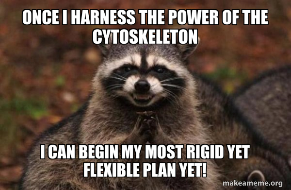 Once I harness the power of the Cytoskeleton I can begin my most rigid ...