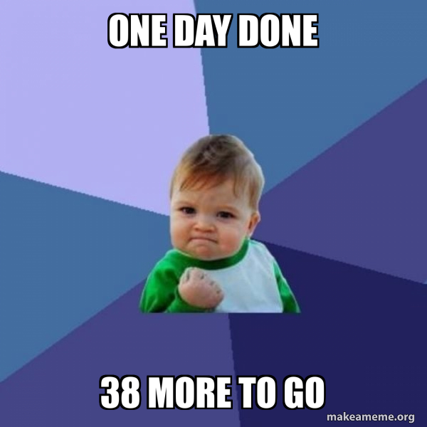 One day done 38 more to go - Success Kid Meme Generator