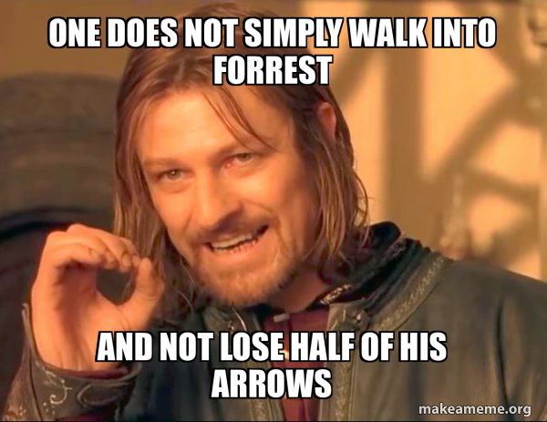 One does not simply walk into forrest And not lose half of his arrows ...