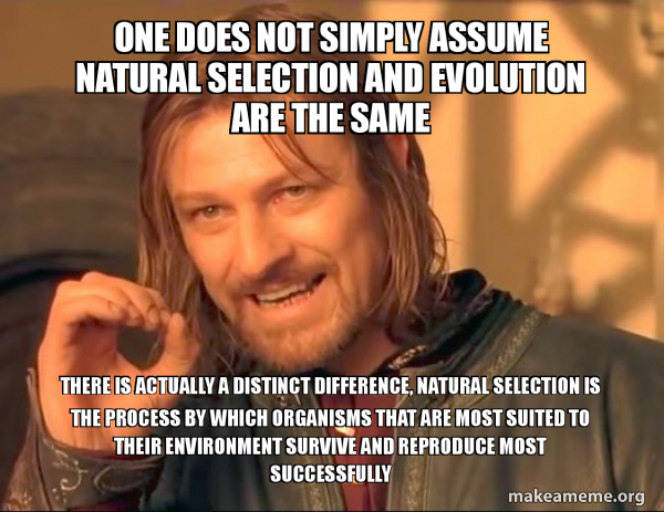 Darwinism Memes Reproduction, Heredity, And Natural Selection