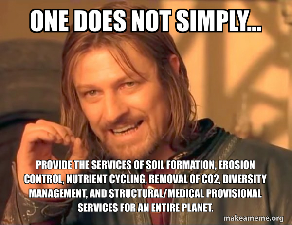 One does not simply... Provide the services of soil formation, erosion ...