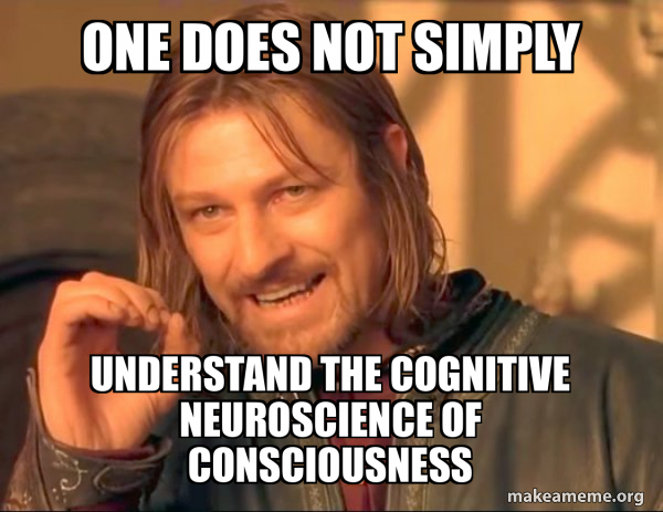 One does not simply Understand the cognitive neuroscience of ...