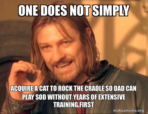 One does not simply acquire a cat to rock the cradle so dad can play ...