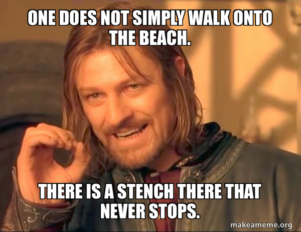 One does not simply walk onto the beach. There is a stench there that ...