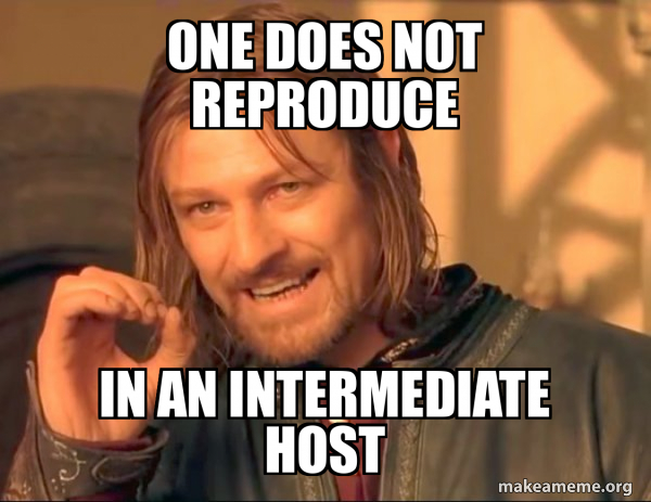 One Does Not Reproduce In An Intermediate Host - One Does Not Simply ...