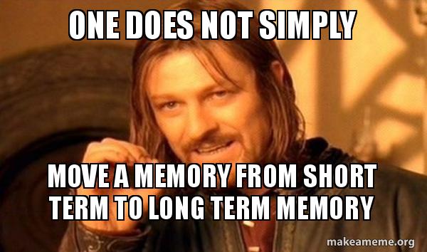 Short Memory Memes Finding Dory's Short Term Remembery Loss Memory Kit