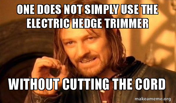 One does not simply use the electric hedge trimmer Without cutting the ...