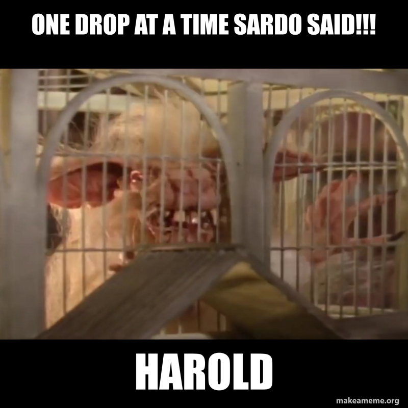 One Drop At a time sardo Said!!! HAROLD Meme Generator