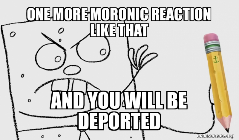 One more moronic reaction like that and you will be deported Meme Generator