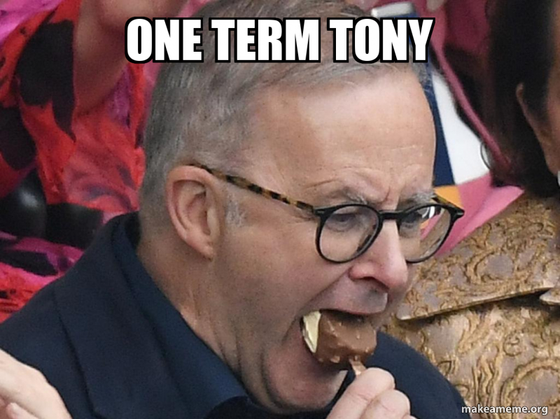 one term Tony Meme Generator