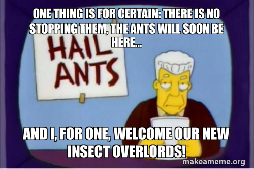 One thing is for certain: there is no stopping them, the ants will soon ...