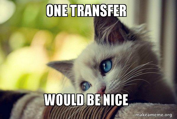 one transfer would be nice - First World Cat Problems Meme Generator