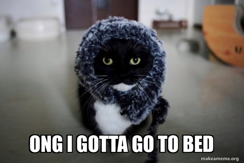Ong i gotta go to bed Meme Generator