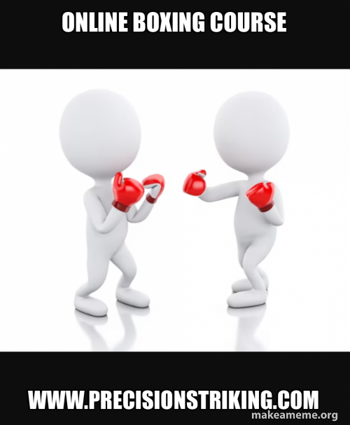 ONLINE BOXING COURSE WWW.PRECISIONSTRIKING.COM - ONLINE BOXING COURSE ...