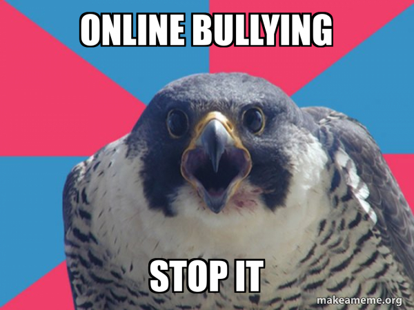 ONLINE BULLYING STOP IT - Millennial Falcon Meme Generator