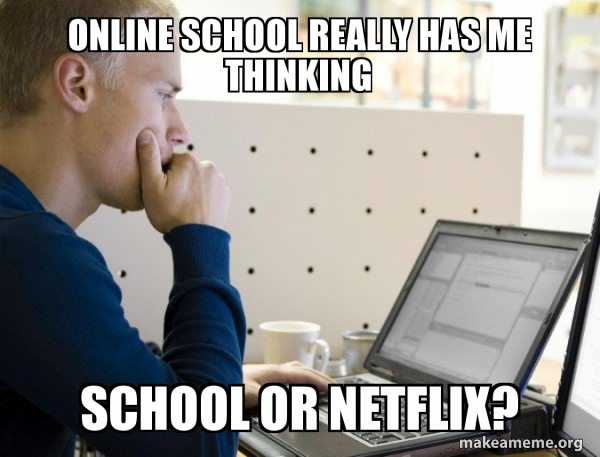 Online school really has me thinking School or Netflix? - Programmer ...