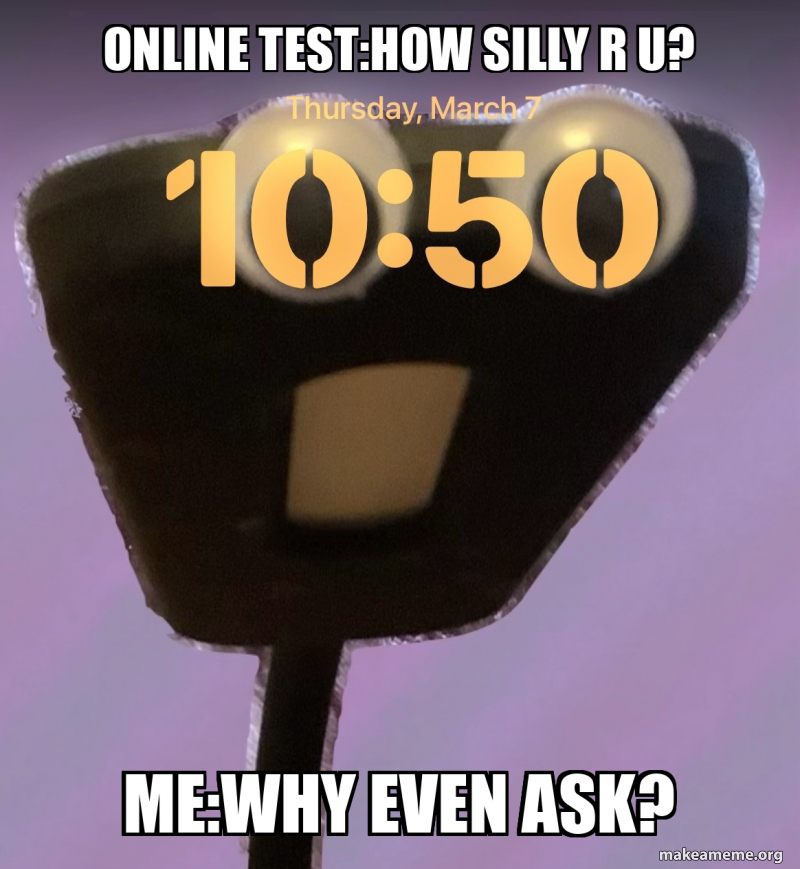 Online Test:How silly r u? Me:why even ask? Meme Generator