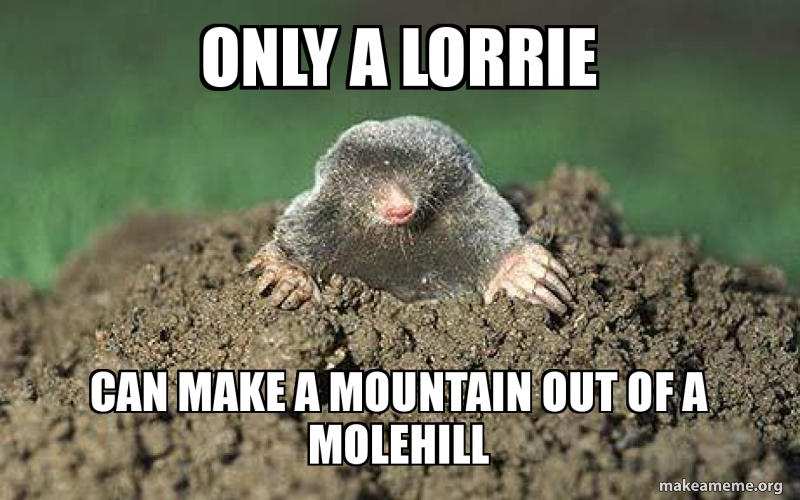 Only a Lorrie Can make a mountain out of a molehill Meme Generator