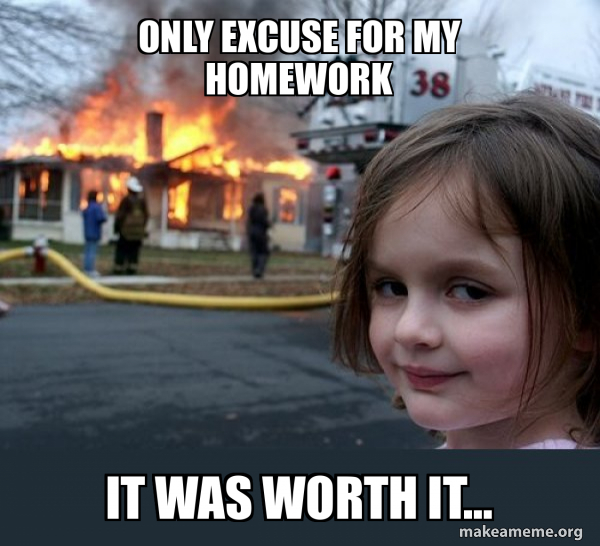 only excuse for my homework it was worth it... - Disaster Girl Meme ...