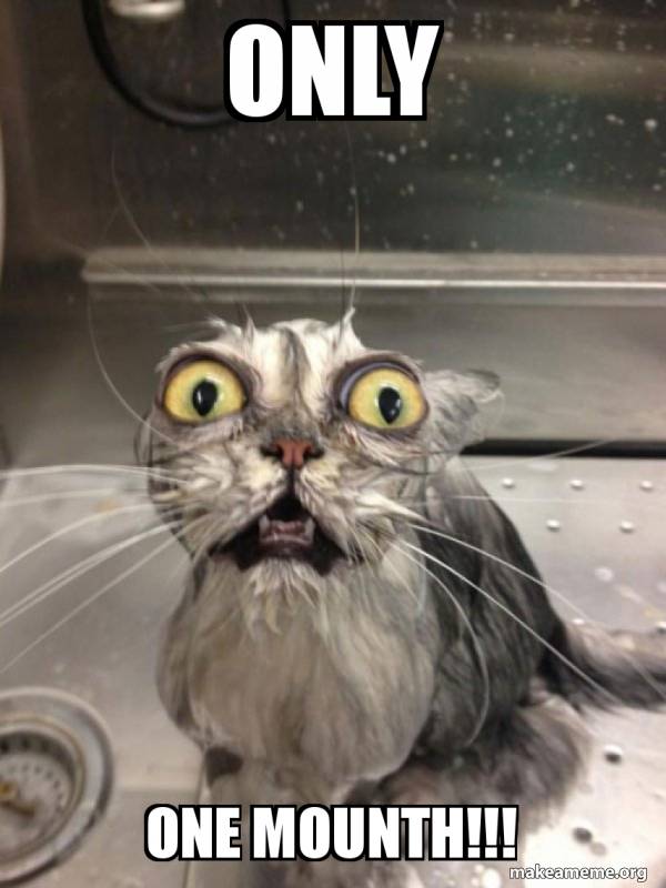 only ONE MOUNTH!!! - Cat bath Meme Generator