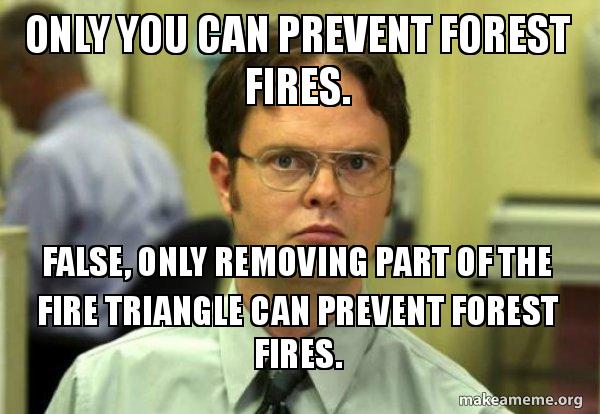 Only you can prevent forest fires. False, only removing part of the ...
