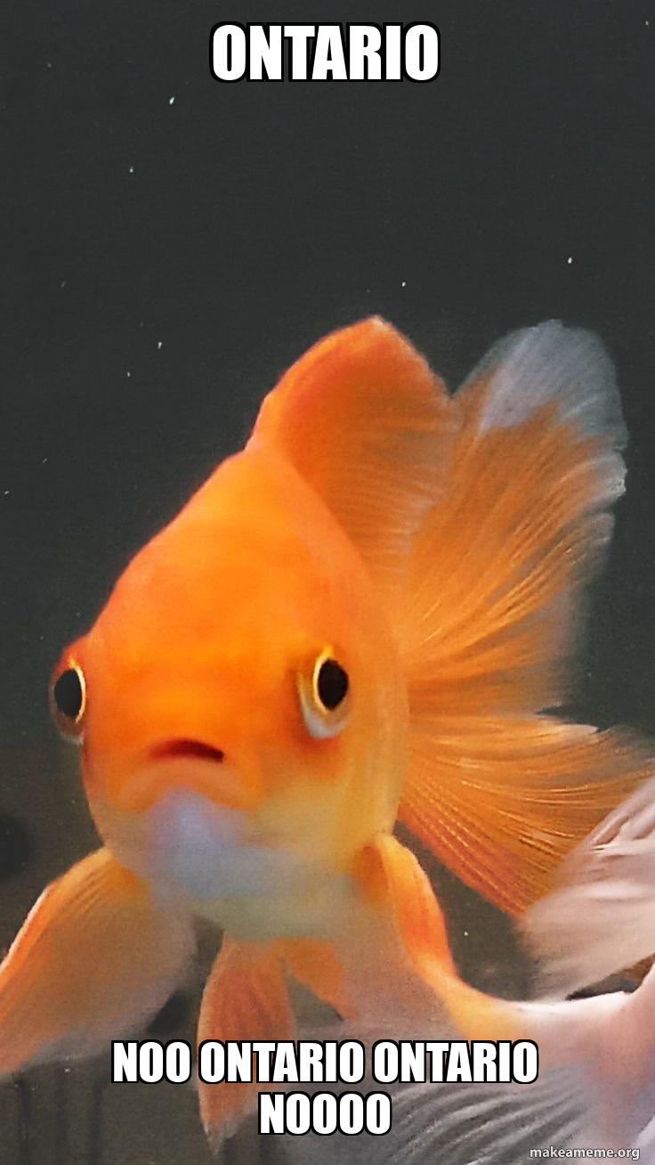 ONTARIO NOO ONTARIO ONTARIO NOOOO Meme Generator