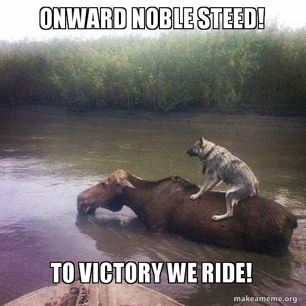 onward noble steed! To victory we ride! | Make a Meme onward noble steed! To victory we ride! | Make a Meme