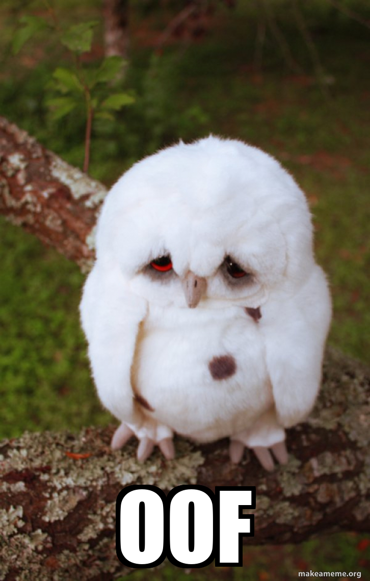 oof - Sad Owl Meme Generator