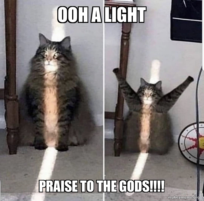 ooh a light Praise to the gods!!!! Meme Generator