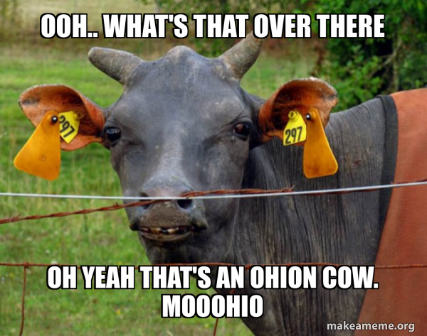 Ooh.. what's that over there Oh yeah that's an Ohion cow. Mooohio ...