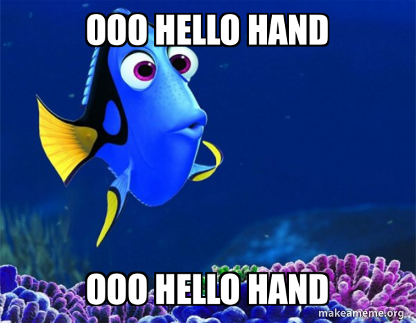 Ooo hello hand Ooo hello hand - Dory from Nemo (5 second memory) Meme ...