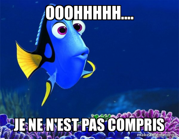 ooohhhhh.... je ne n'est pas compris - Dory from Nemo (5 second memory ...
