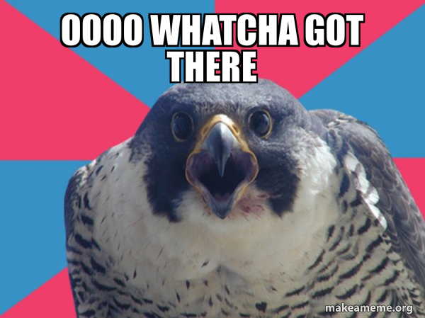 oooo whatcha got there - Millennial Falcon Meme Generator