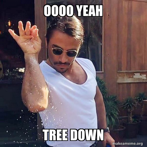 oooo yeah tree down - SaltBae or Salt Bae Meme Generator