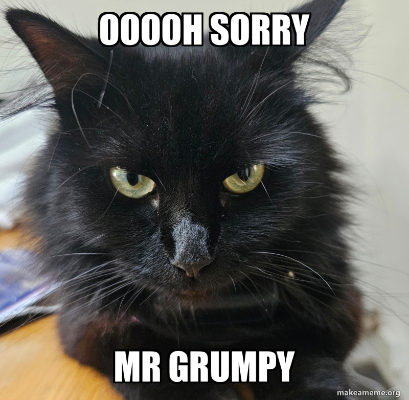 Ooooh sorry Mr grumpy Meme Generator