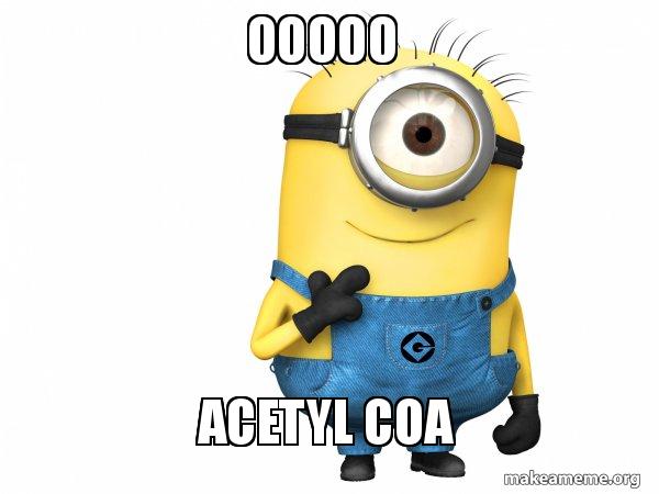 OOOOO ACETYL CoA - Thoughtful Minion Meme Generator