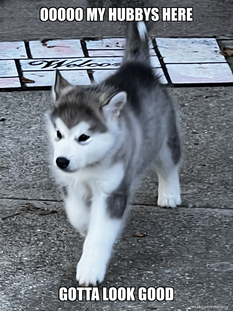 Ooooo my hubbys here Gotta look Good - This is so funny Meme Generator